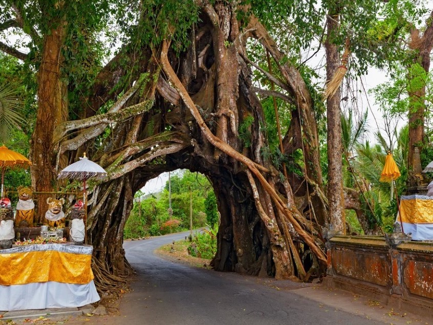 SAHL TOUR INDONESIA - Destinations Tour